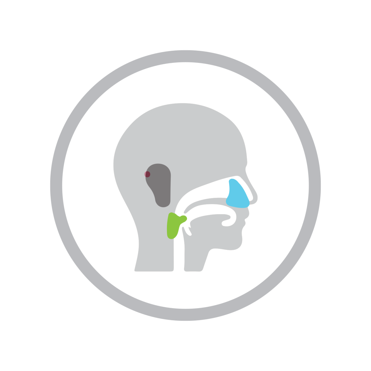 Specialist Services | Putra Medical Centre